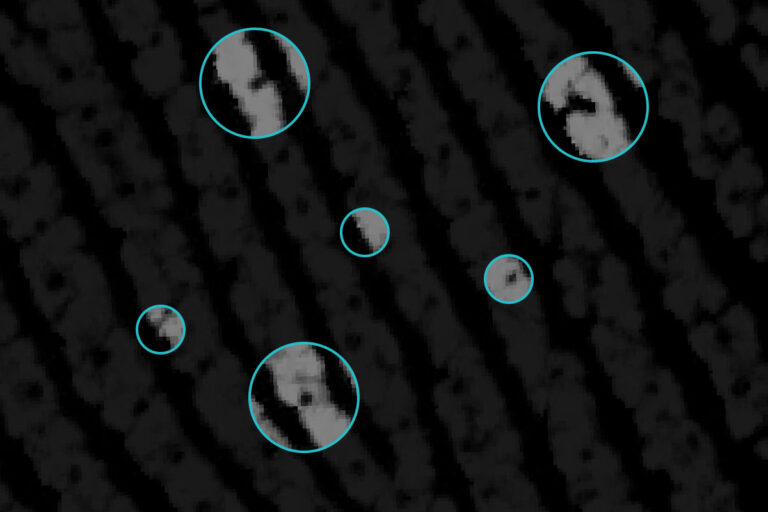 Introducing RX1000 - Identification International